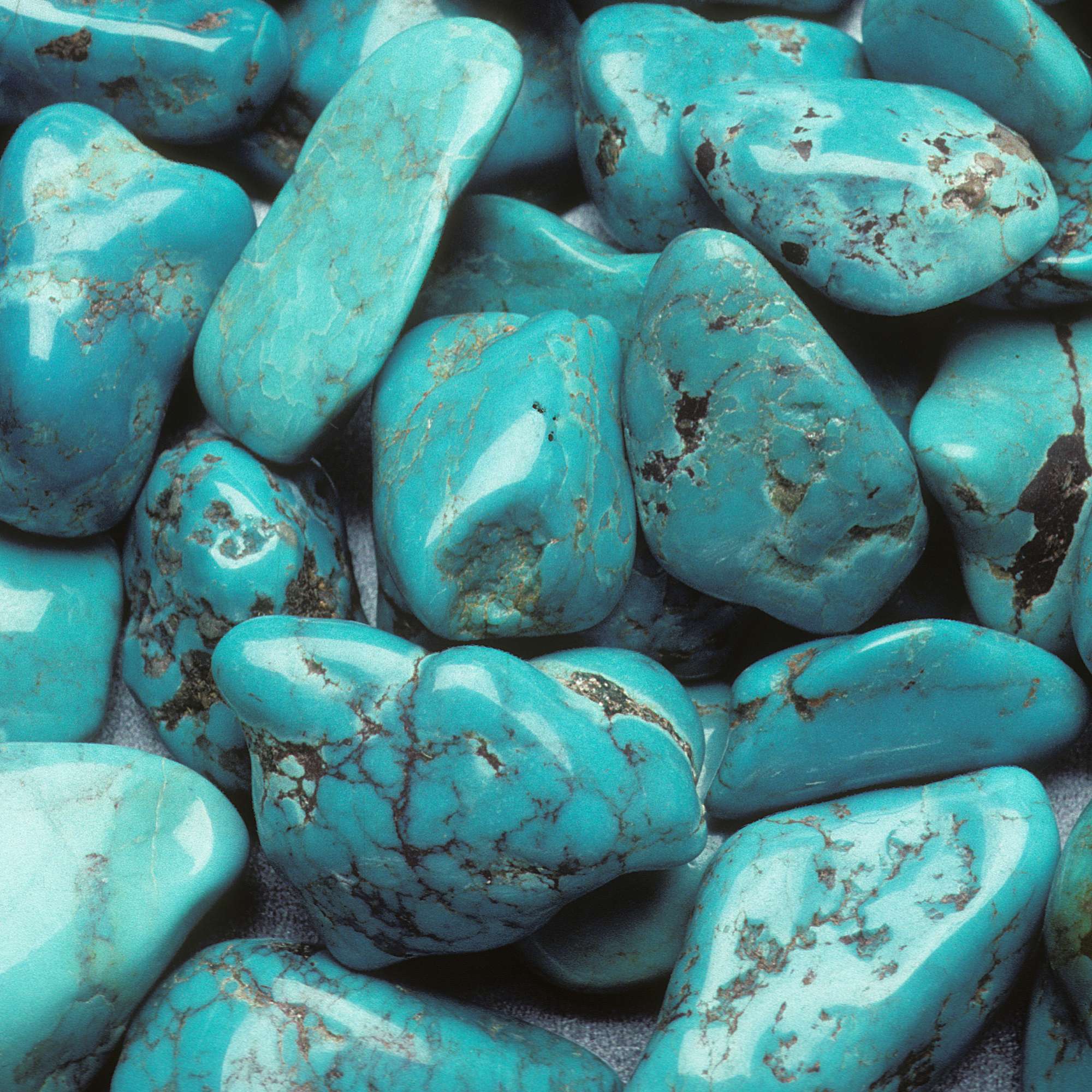 Turquoise – Pur Noisetier | Pure Hazelwood